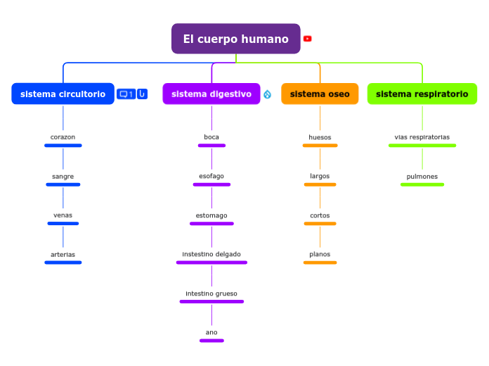 El cuerpo humano - Mind Map